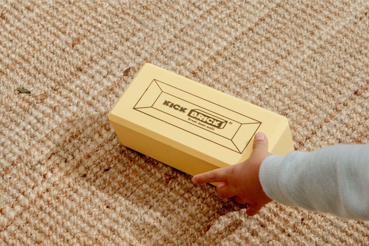 KICKBrick® - Construction toys for kids. Fun building bricks & Planx